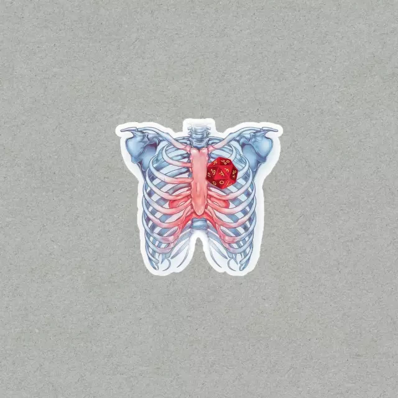 Anatomy Heart Ribcage Sticker - Watercolor Medical Illustration ...