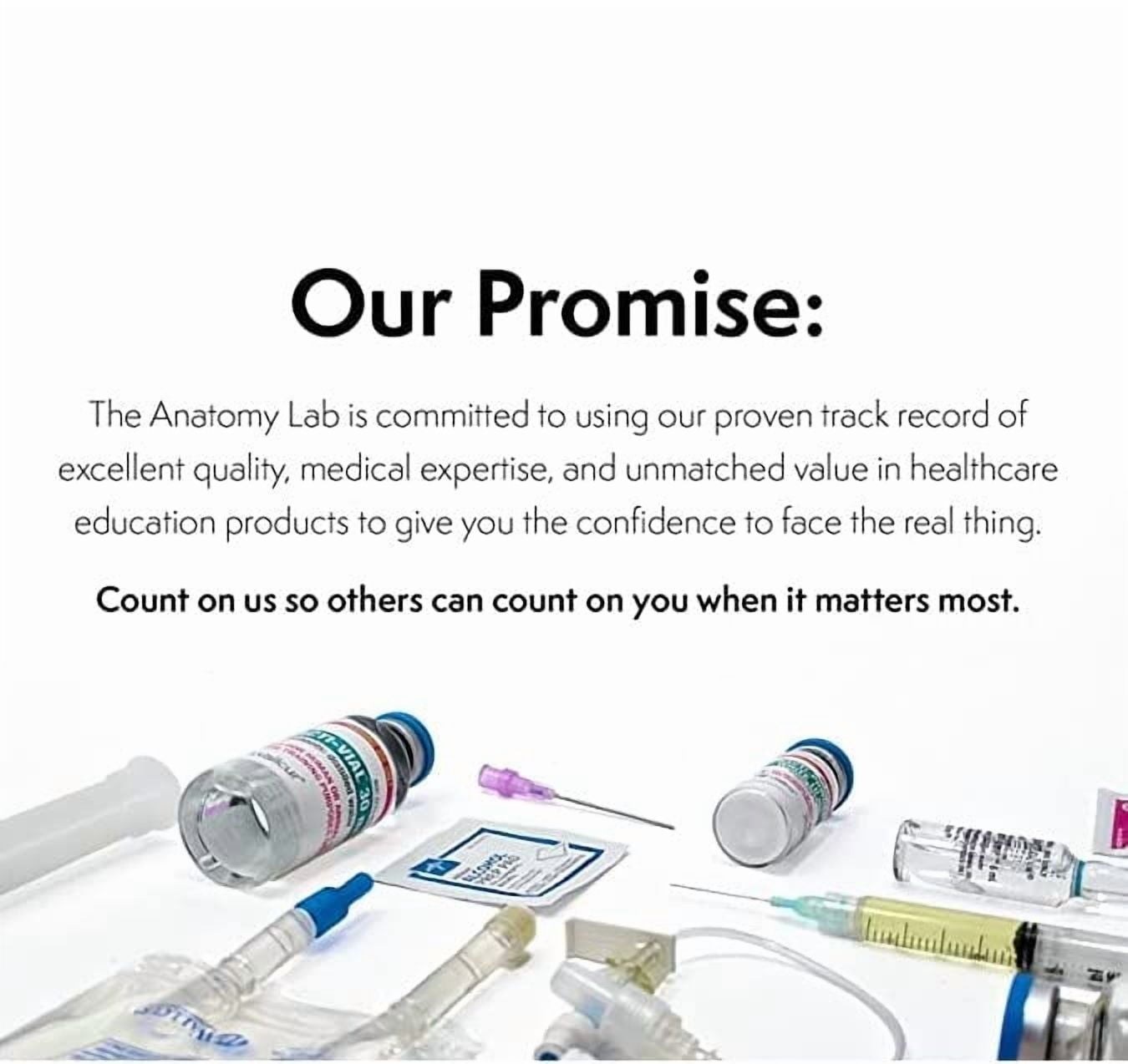 Anatomy Lab Clinical Nursing Skills Training Kit with Wearable ...