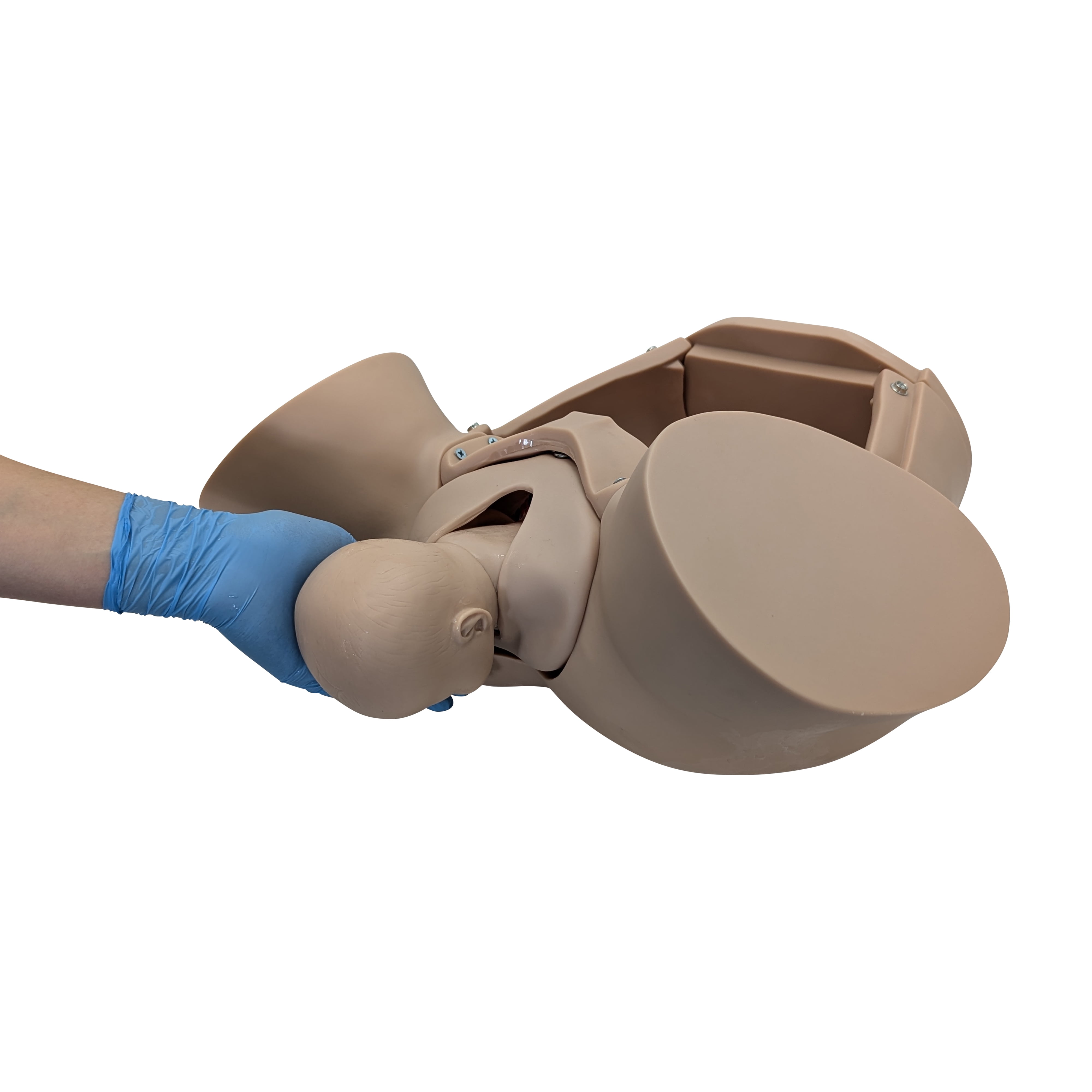 Anatomy Lab Obstetric Manikin - Walmart.com