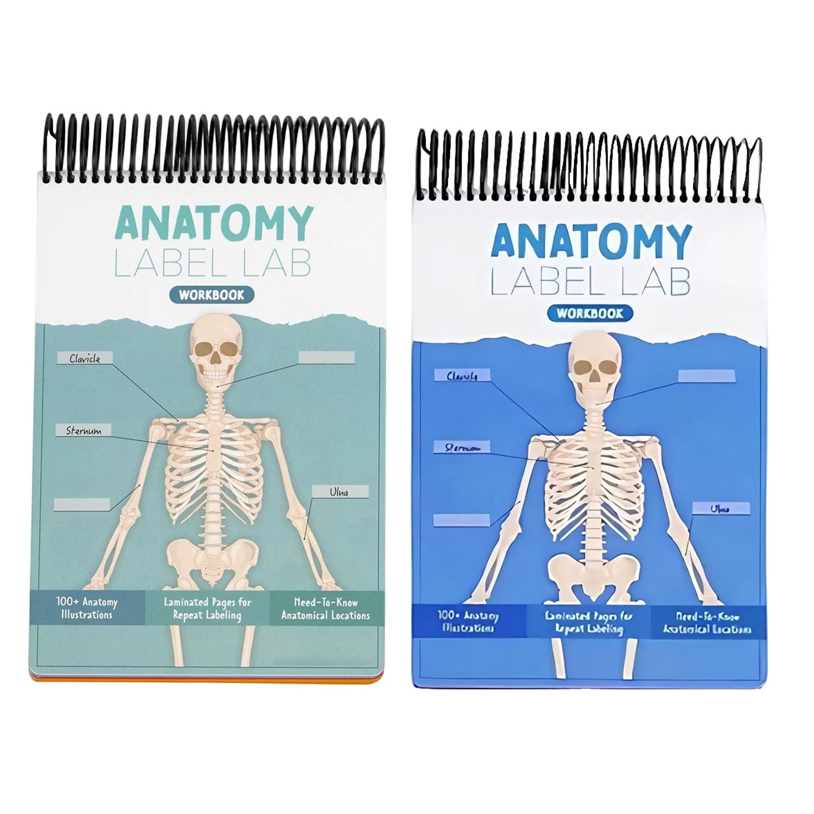 Anatomy Label Lab Spiral-Bound Workbook,Anatomy and Physiology Label ...