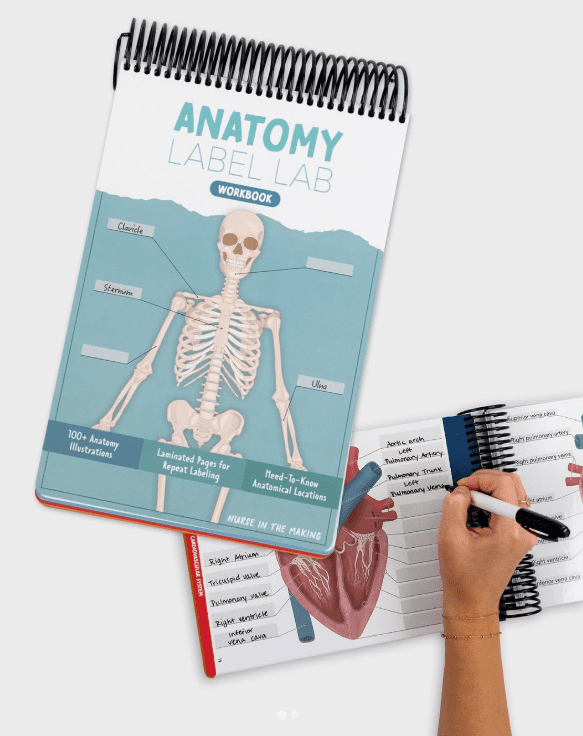 Anatomy Label Lab Workbook, Anatomy Coloring Book, Interactive Anatomy ...