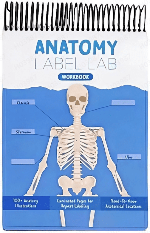 Anatomy Label Lab Workbook - Anatomy And Physiology Study Tools ...