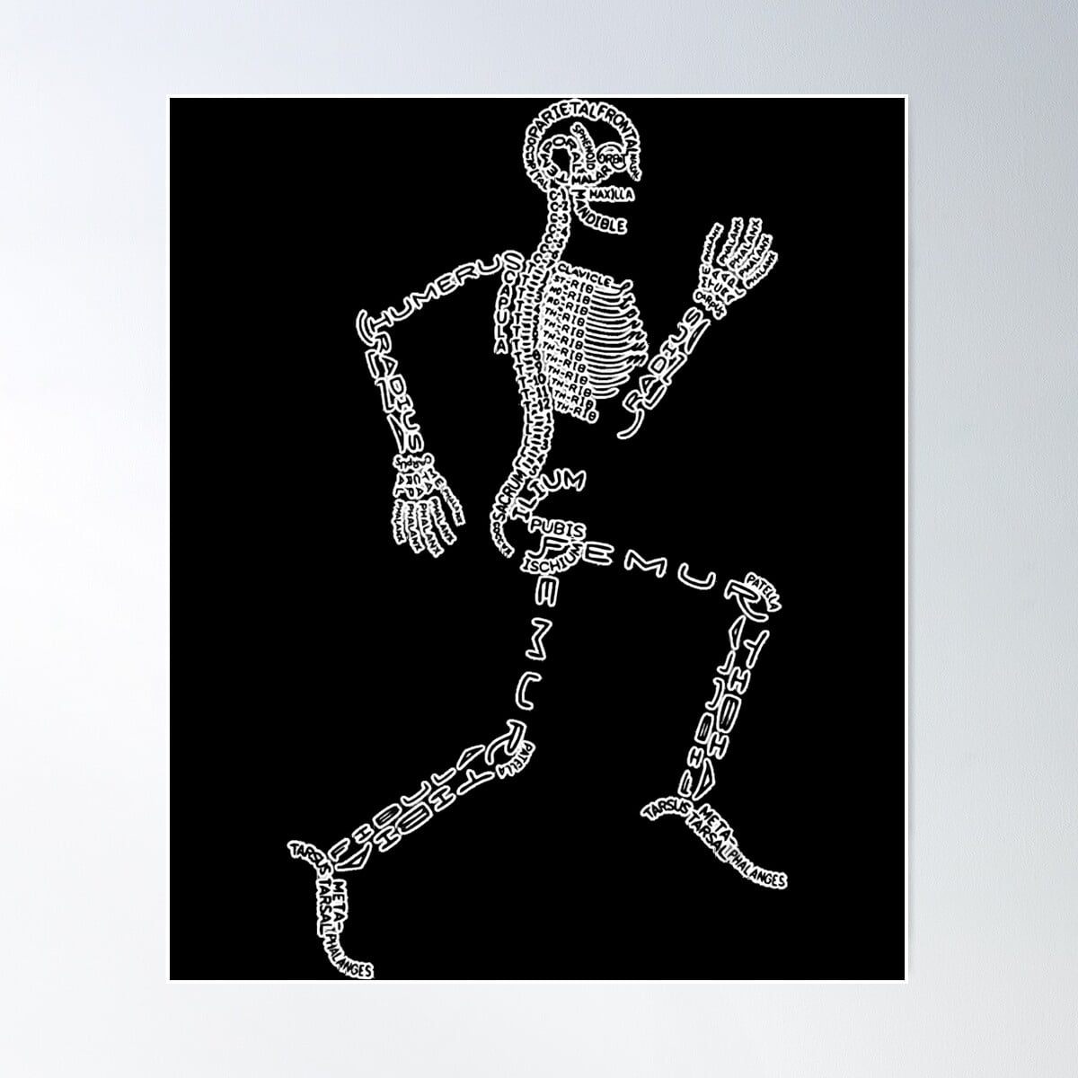 Anatomy Labels Human Skeleton Running Bone Names For Geeks Poster Wall ...