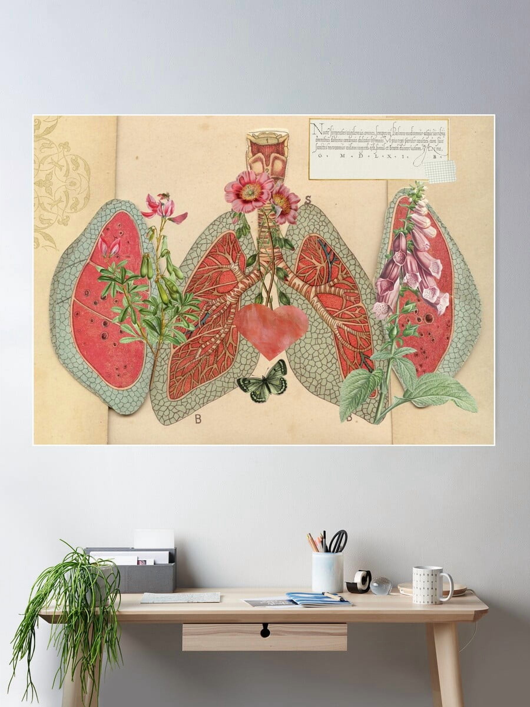 Anatomy Lesson Poster Wall Art Modern Wall Decor For Living Room ...