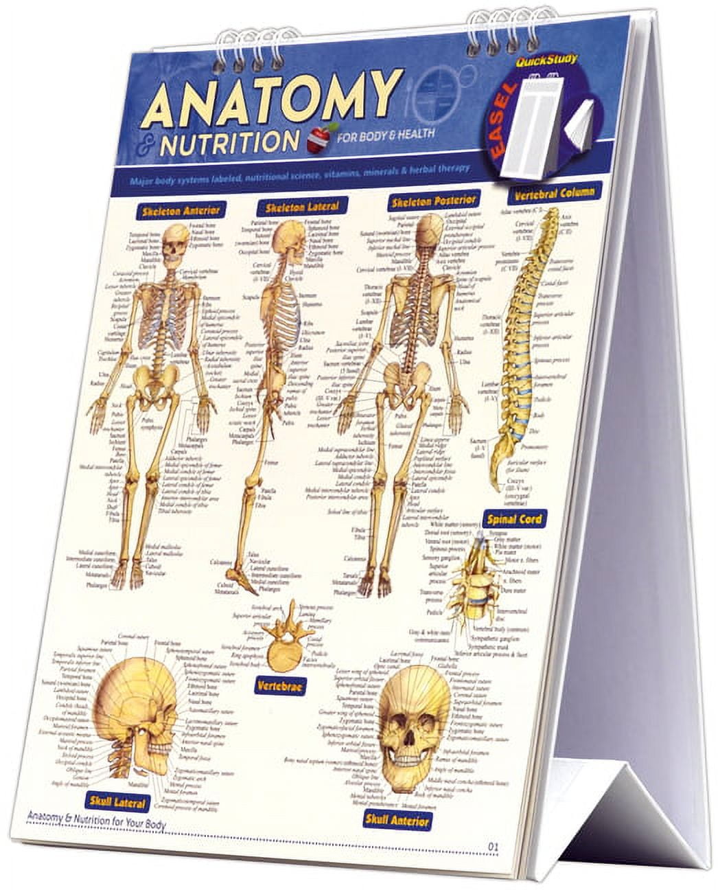 Anatomy & Nutrition for Body & Health Easel Book : a QuickStudy ...