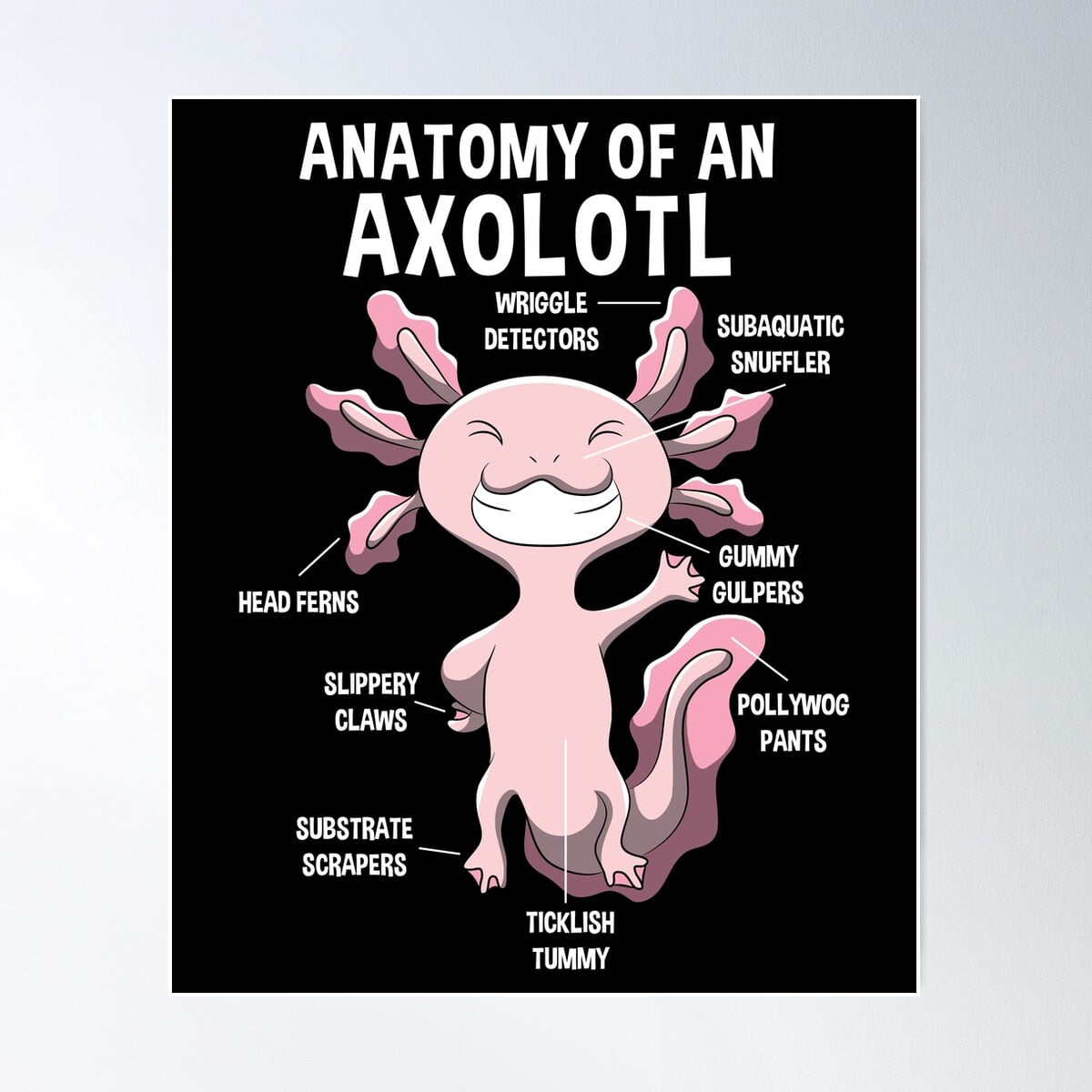 Anatomy Of A Axolotl Teacher'S Gift Poster Wall Art, Modern Wall Decor ...