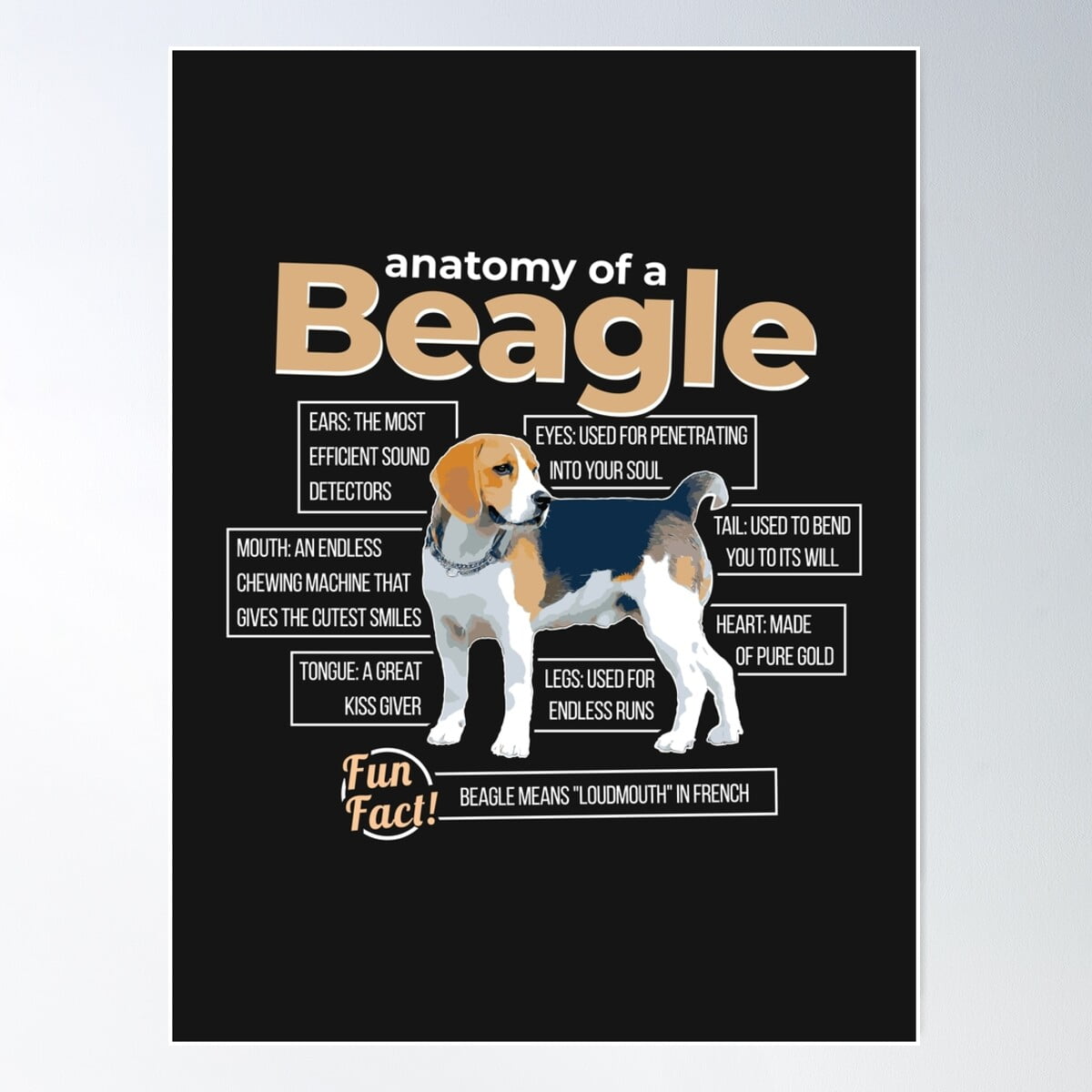 Anatomy Of A Beagle Poster Wall Art, Modern Wall Decor For Living Room ...