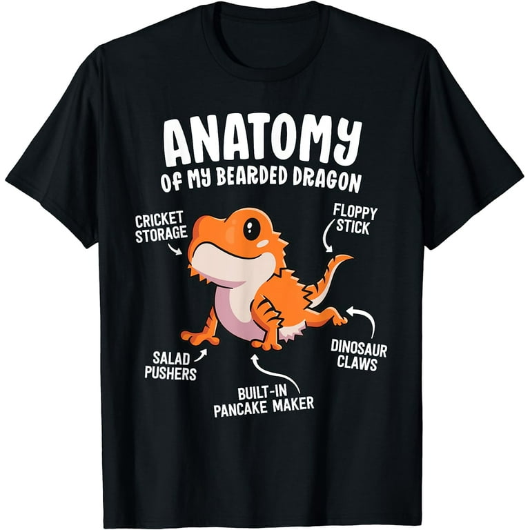 Bearded Dragon Anatomy Anatomy Of A Bearded Dragon Bearded Dragon