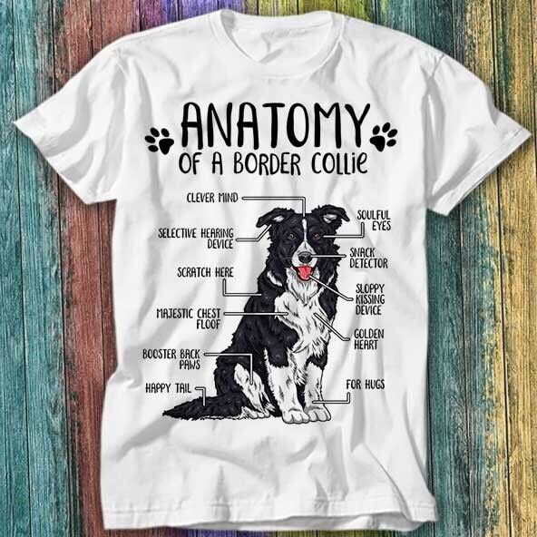 Anatomy Of A Border Collie T Shirt Top Tee 183 - Walmart.com