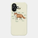 Anatomy Of A Fox Funny Diagram Graphic Case for Apple iPhone 11-17 ...