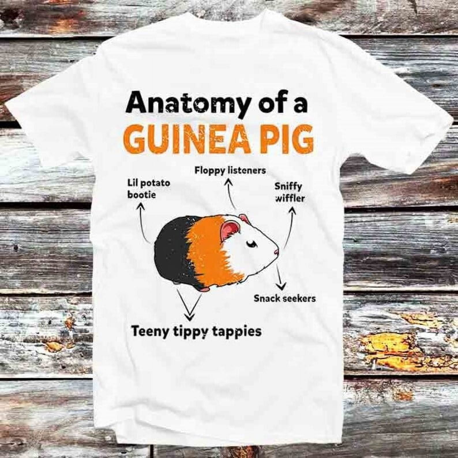Anatomy Of A Guinea Pig Cute Pet T Shirt Vintage Retro Cool Gift Mens ...