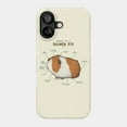 Anatomy Of A Guinea Pig Funny Diagram Case for Apple iPhone 11-17 ...