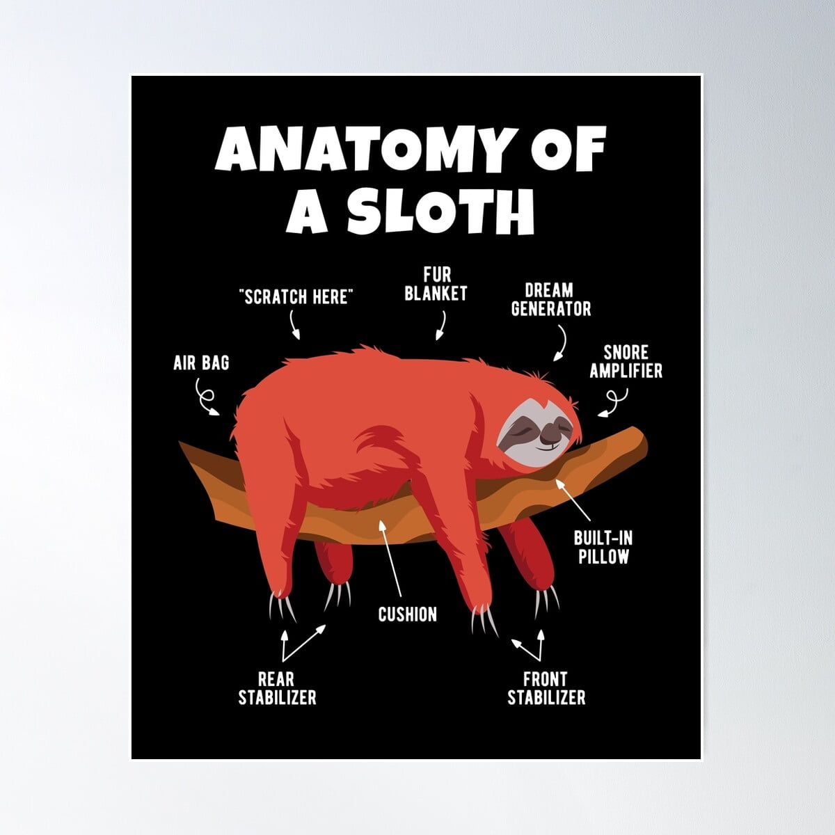 Anatomy Of A Sloth Poster Wall Art, Modern Wall Decor For Living Room ...