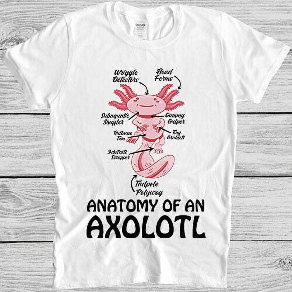 Anatomy Of An Axolotl Kawaii Mexican Fish Ocean Funny Gift Tee T Shirt ...