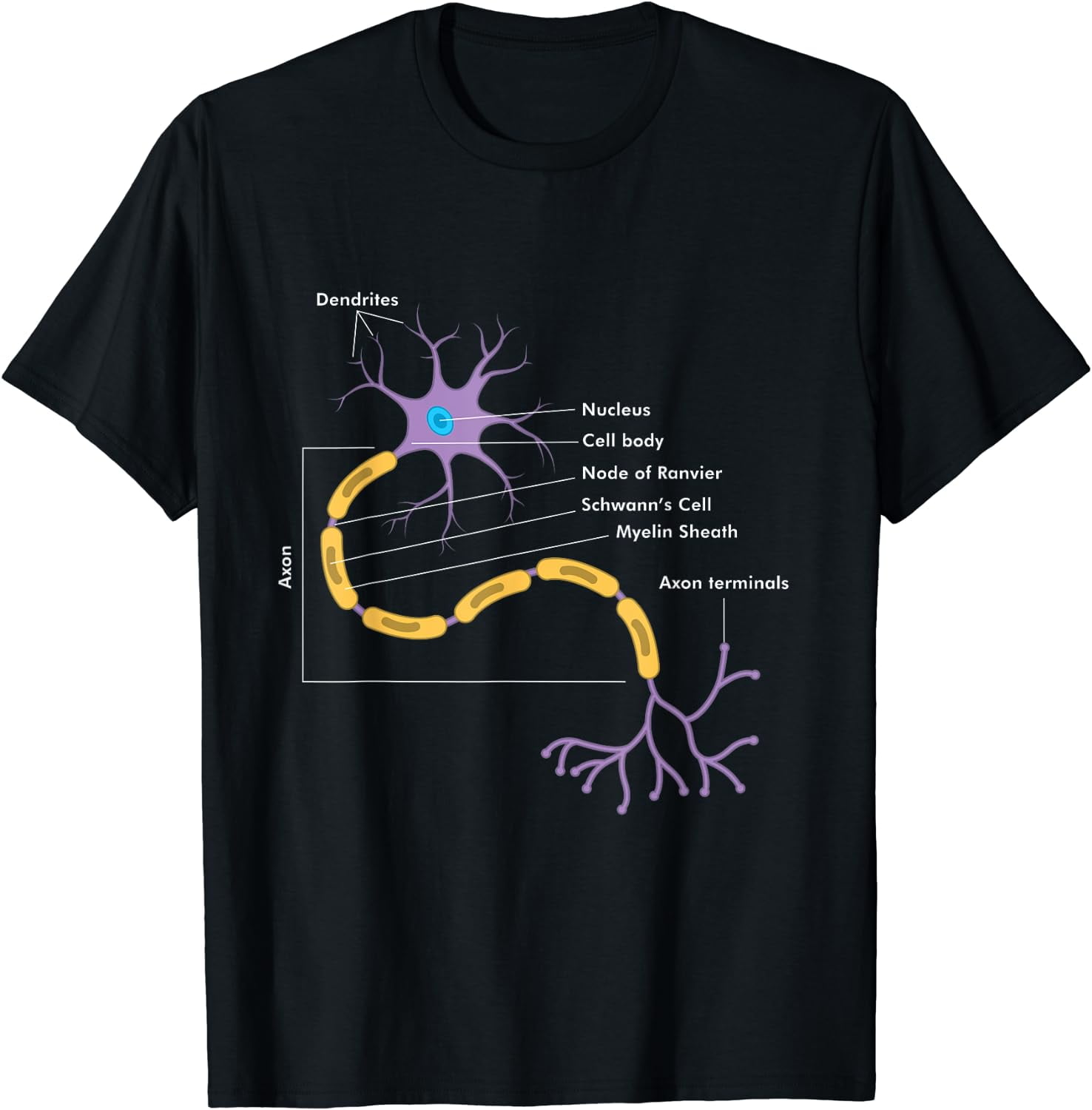 Anatomy Of Neuron Neurologist Gift T-Shirt - Walmart.com