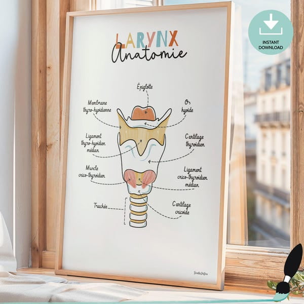 Anatomy Of The Larynx Poster In French, Slp Office Decor, Speech ...