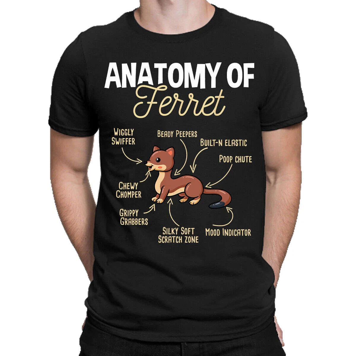 Anatomy Of a Ferret Dog Medical Science Biology Body Organs Mens T ...