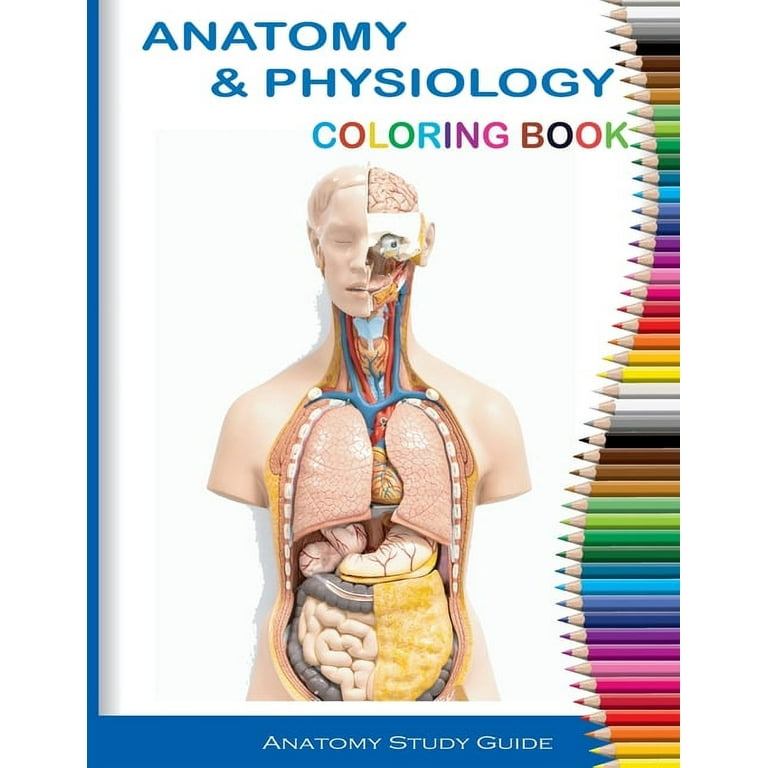 anatomy and physiology coloring workbook a complete study guide