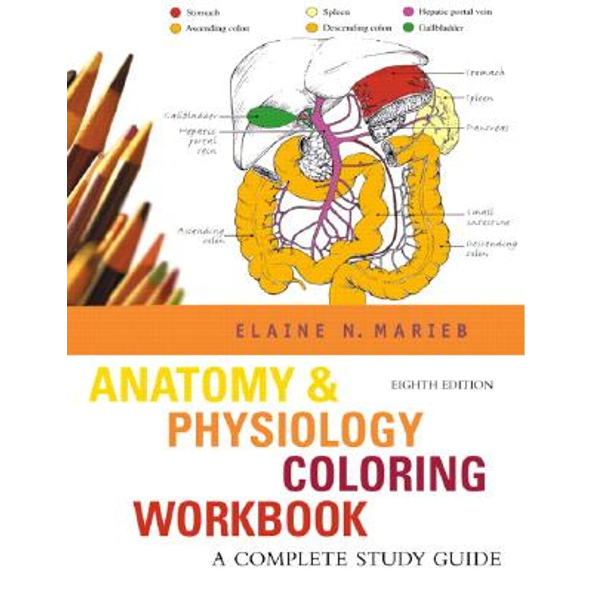 Pre-Owned Anatomy & Physiology Coloring Workbook: A Complete Study ...