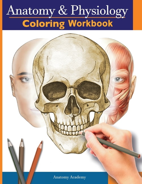 Free Printable Anatomy and Physiology Coloring Pages: A Fun Way to Learn