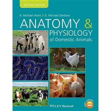 Anatomy and Physiology of Animals (Hardcover) - Walmart.com