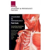 Anatomy & Physiology Flash Cards - Walmart.com