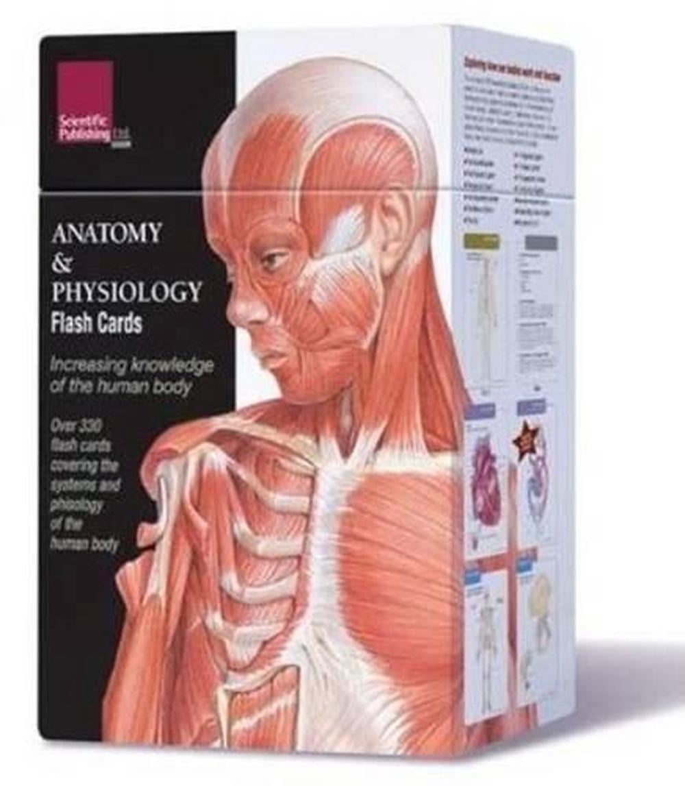 Anatomy Physiology Flash Cards - Walmart.com