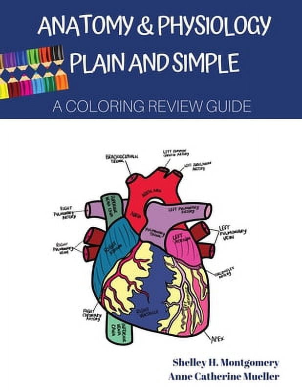 Anatomy & Physiology Plain and Simple: A Coloring Review Guide ...