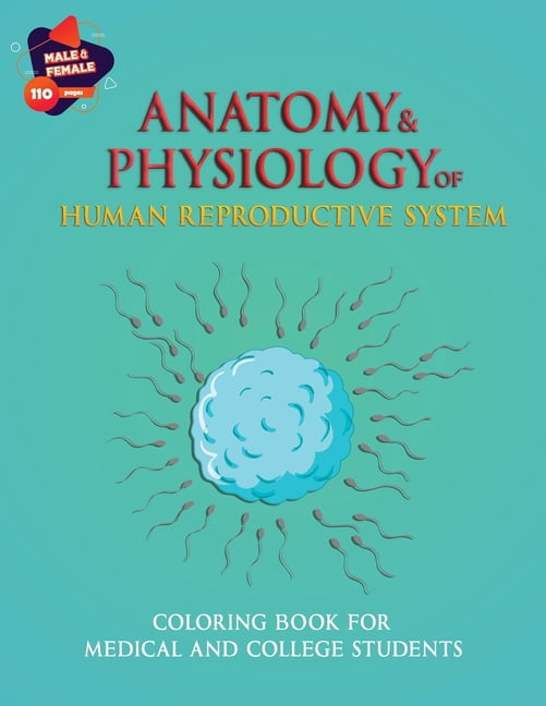 Anatomy & Physiology of Human Reproductive system : Coloring Book for ...