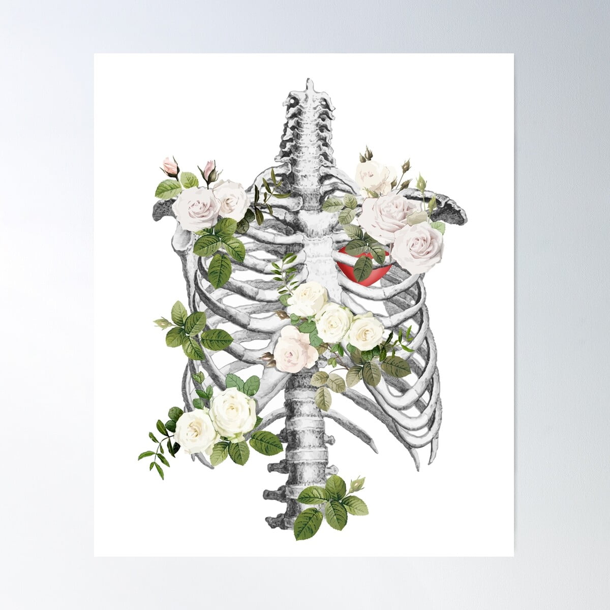 Anatomy, Ribcage, Rib Cage,Skeleton White Roses Poster Wall Art, Modern ...