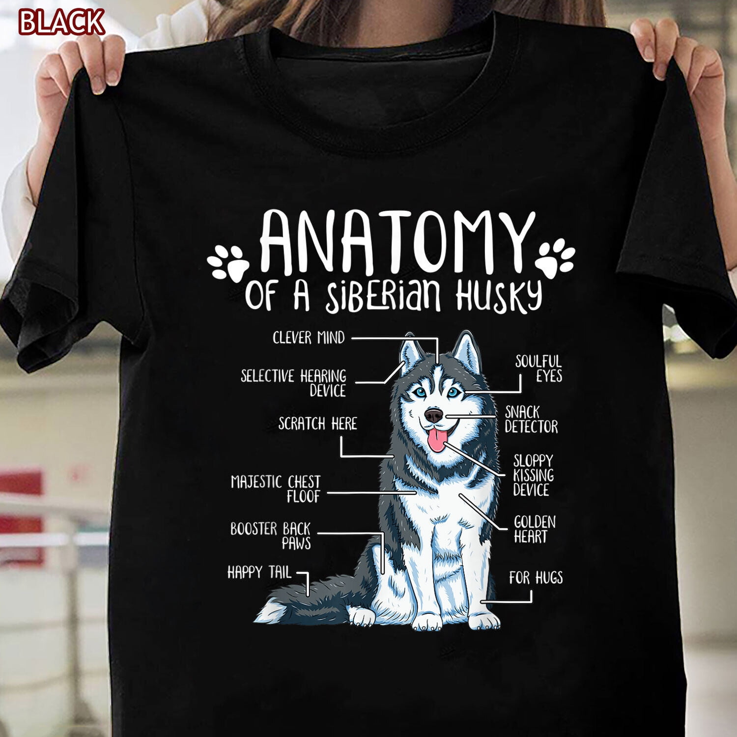 Anatomy Siberian Husky Dog Breed Info Diagram T-Shirt - Walmart.com