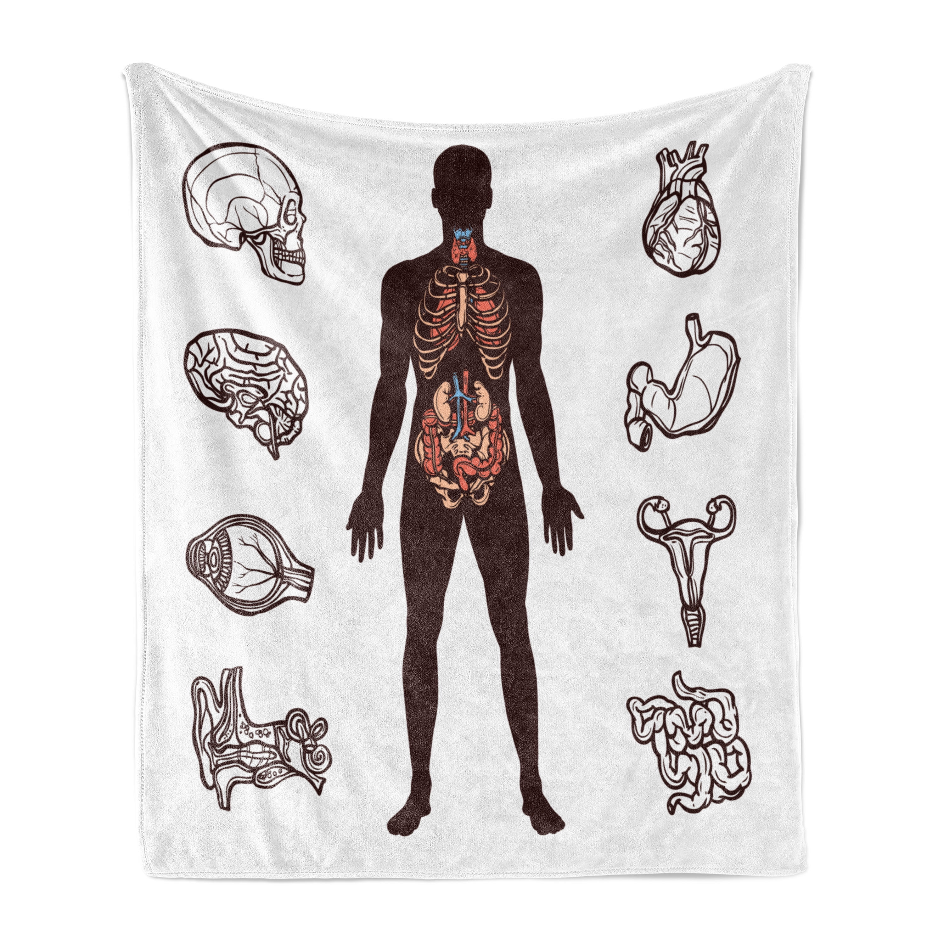 Anatomy Soft Flannel Fleece Throw Blanket, Human Body with Internal ...