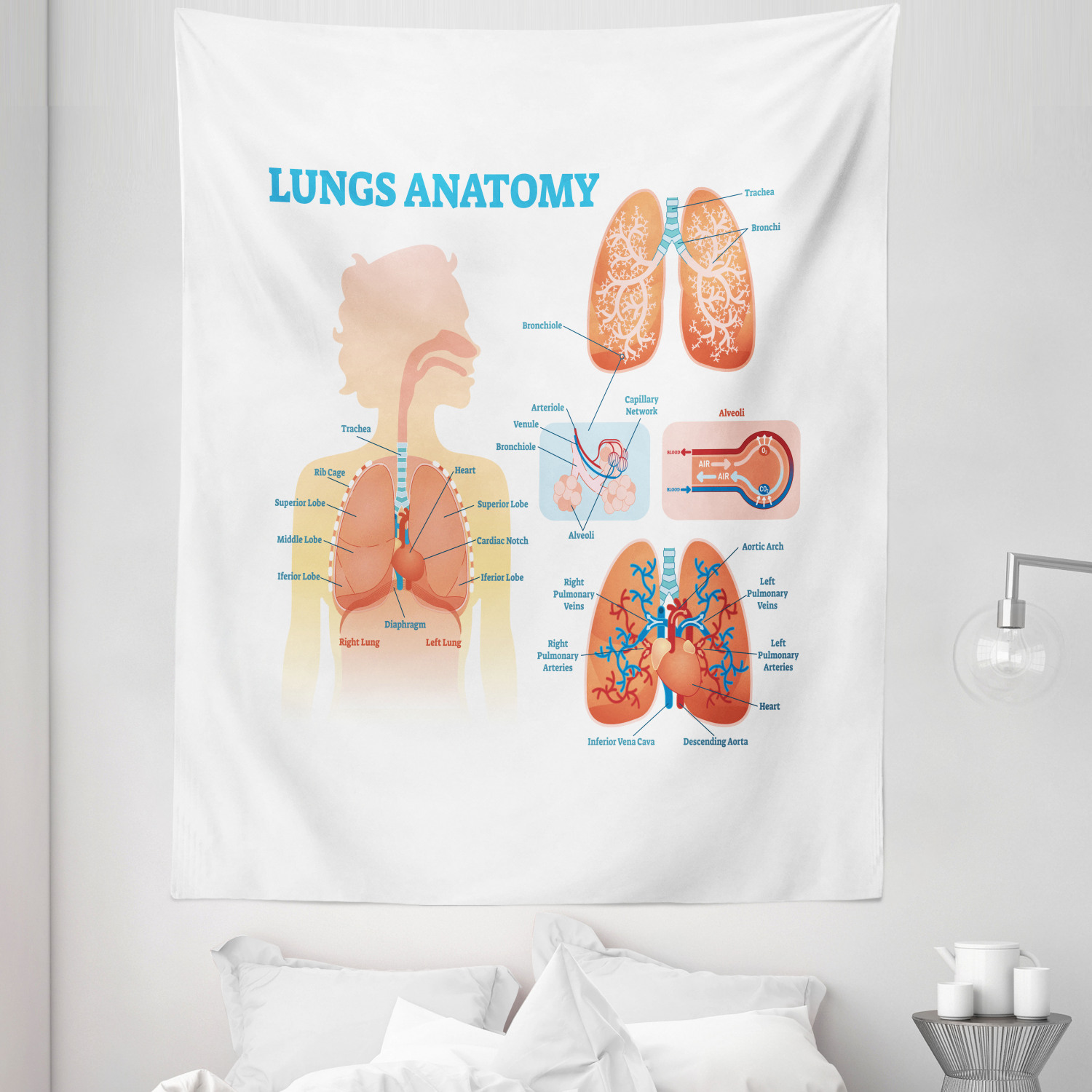Anatomy Tapestry, Lungs Structure Bronchi Parts Biology Plain ...