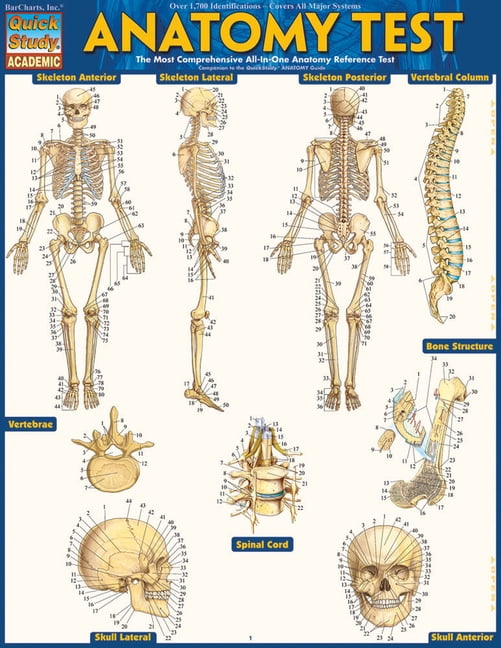 Anatomy Test Reference Guide (8.5 x 11) : for use with Anatomy ...