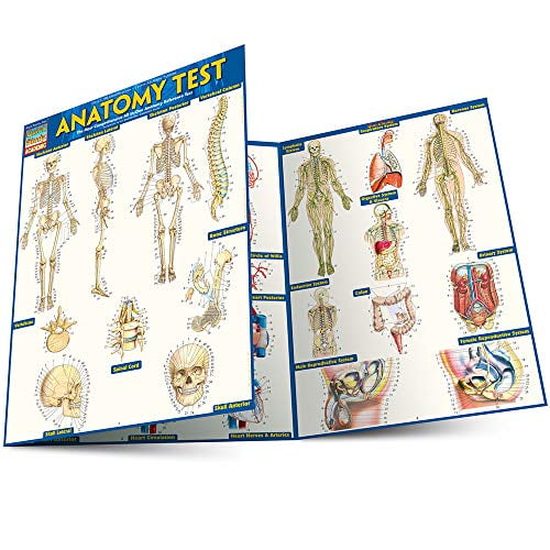 Pre-Owned Anatomy Test Reference Guide (8. 5 X 11) : For Use with ...