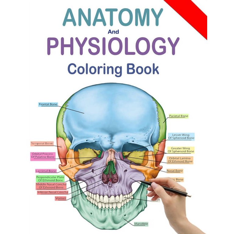 anatomy and physiology coloring pages