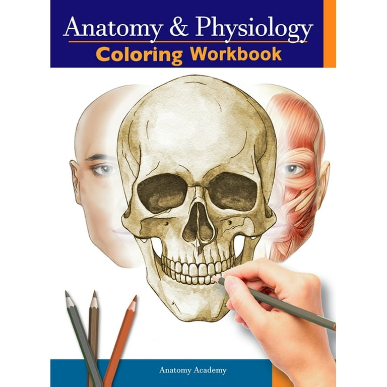 anatomy and physiology coloring pages free
