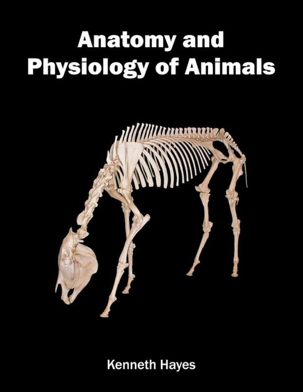 Anatomy and Physiology of Animals, (Hardcover) - Walmart.com