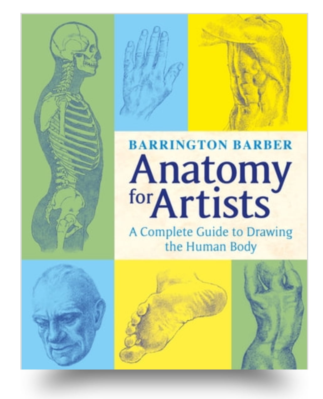 Anatomy for Artists The Complete Guide to Drawing the Human Body by ...