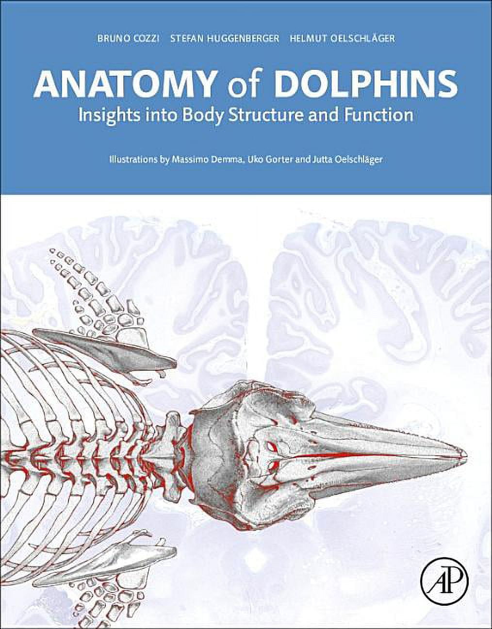 Anatomy of Dolphins: Insights Into Body Structure and Function ...