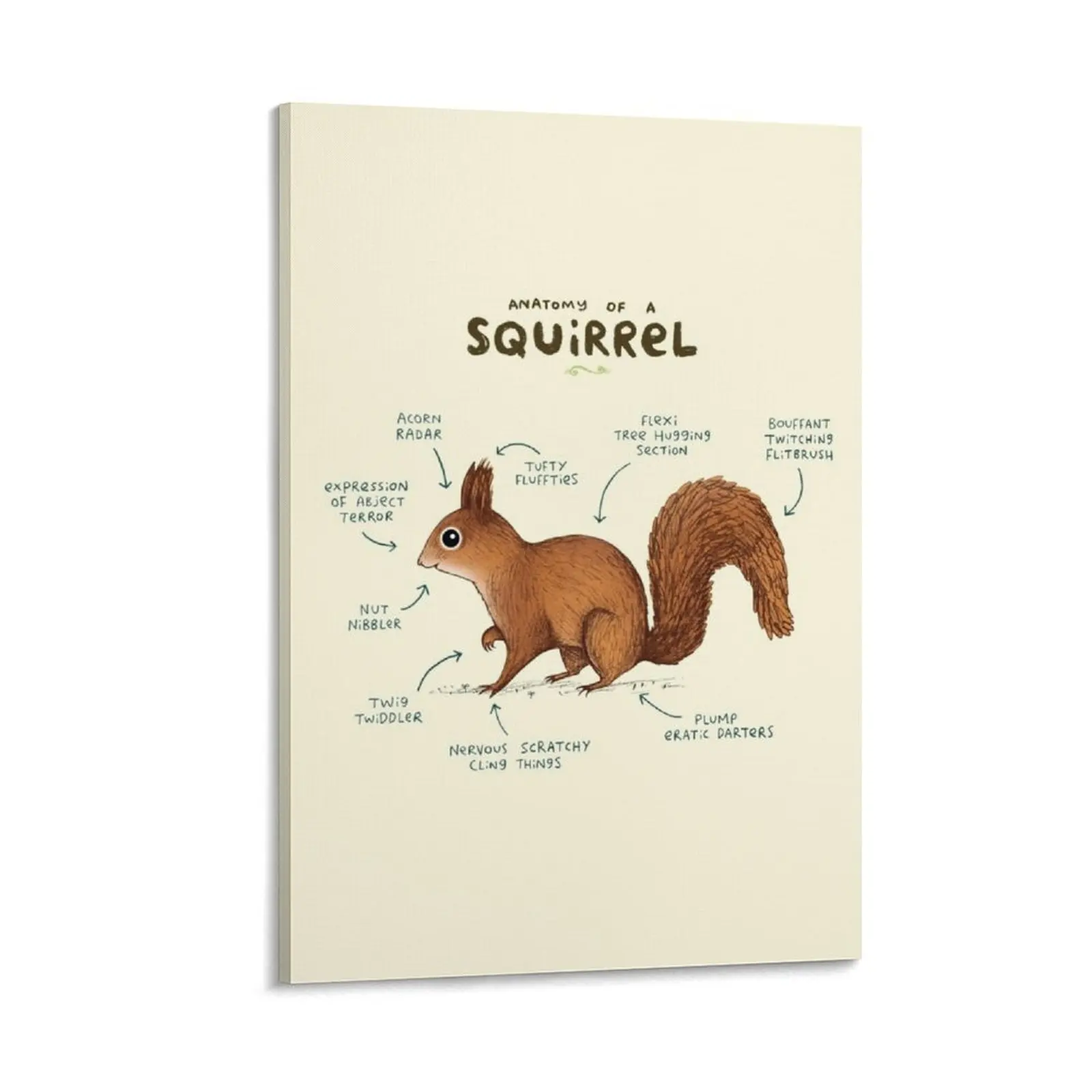 Anatomy of a Squirrel Canvas Painting posters anime vintage home decor ...