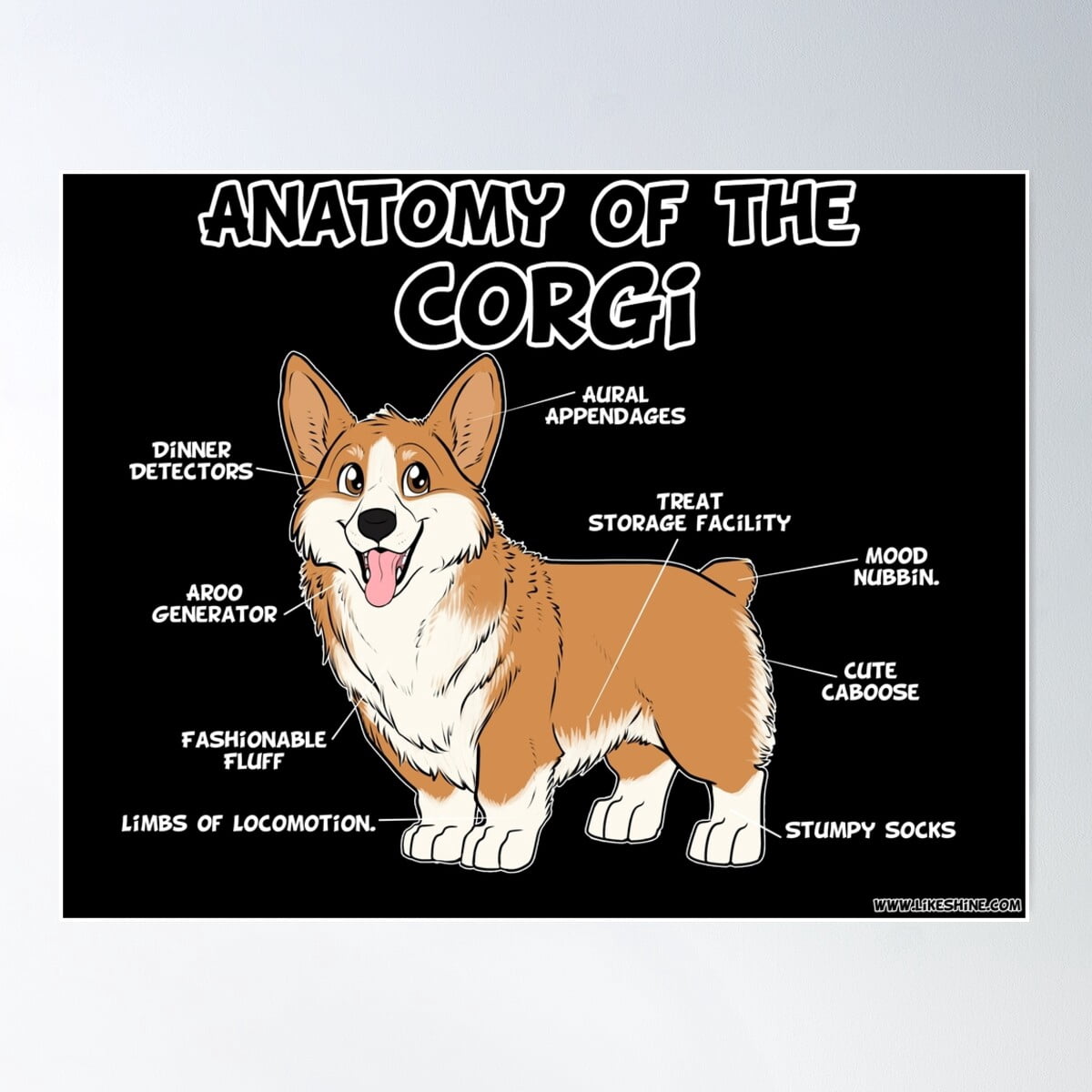 Anatomy of the Corgi - red & white Poster, 16x24 UNFRAMED - Walmart.com