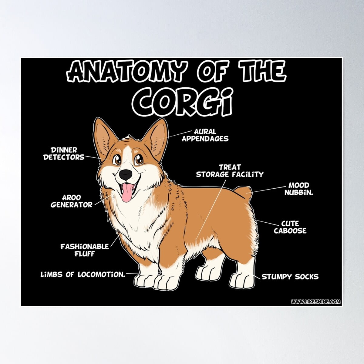 Anatomy of the Corgi - red & white Poster, 8x12 UNFRAMED - Walmart.com