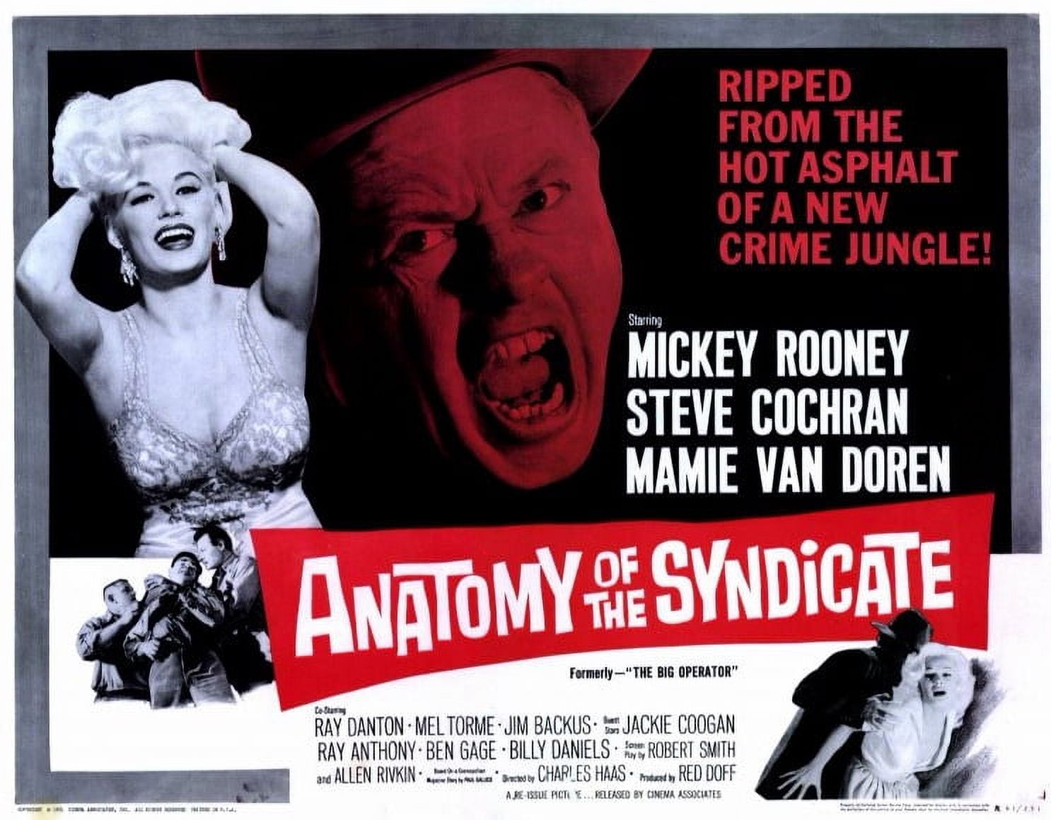 Anatomy of the Syndicate - movie POSTER (Style A) (11" x 14") (1961 ...