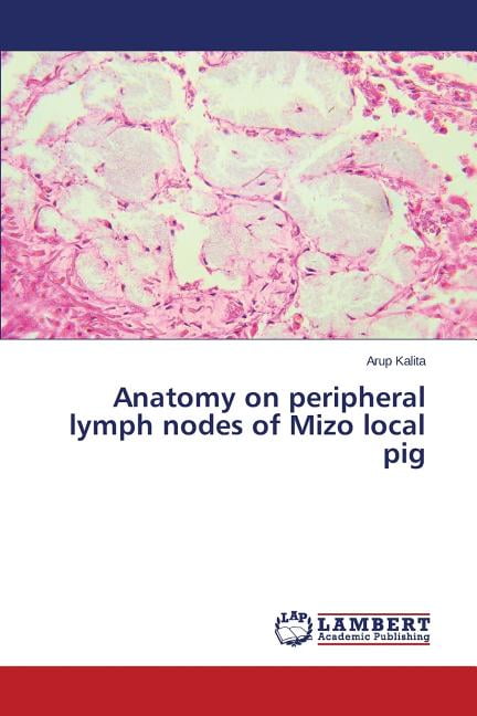 Anatomy on Peripheral Lymph Nodes of Mizo Local Pig (Paperback ...