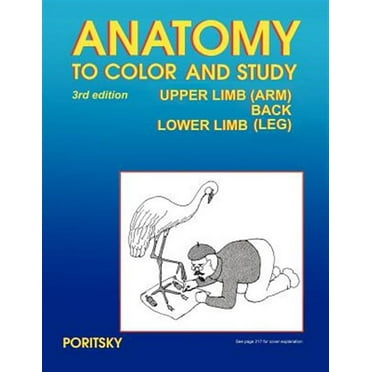 Anatomy: Delavier's Anatomy for Bigger, Stronger Arms (Paperback ...