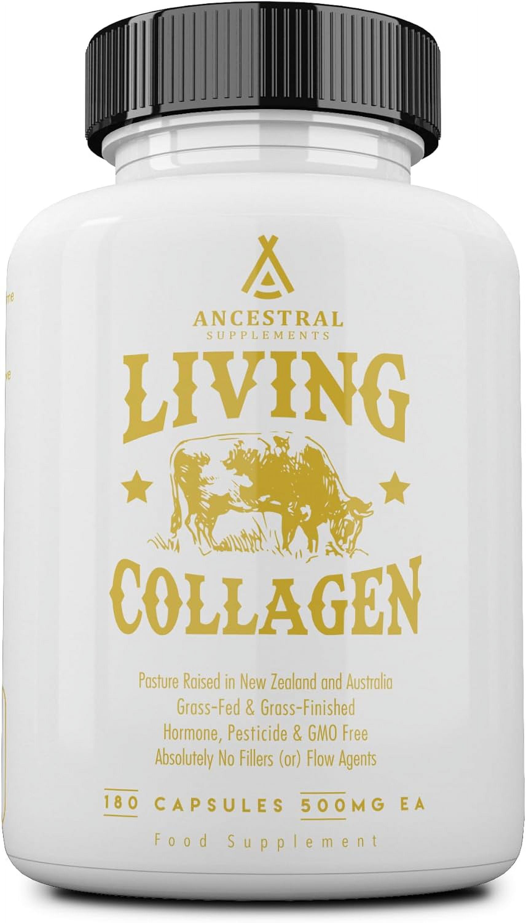 Ancestral Supplements Grass Fed Beef Living Collagen Nutritional Powder ...