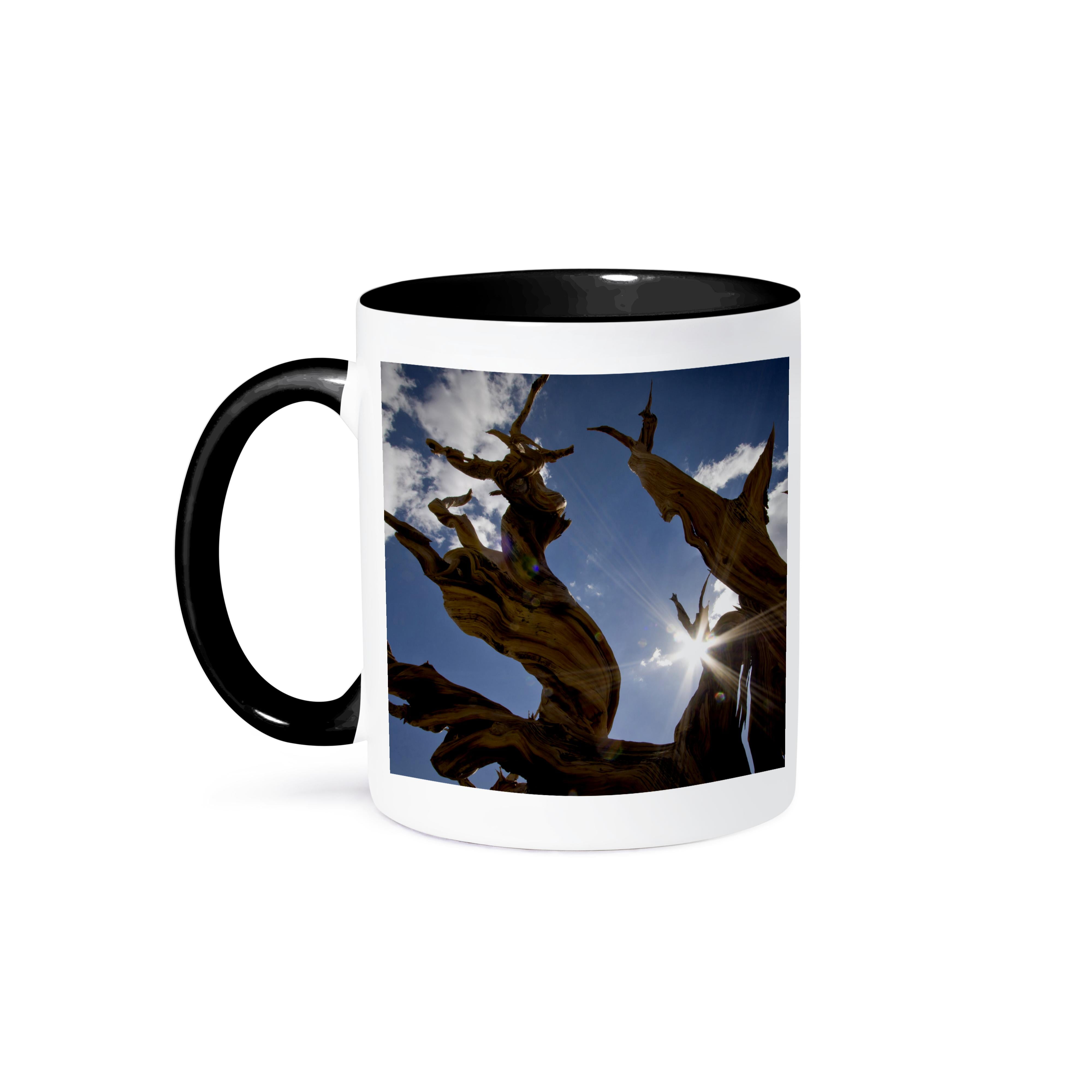 3drose, Ancient Bristlecone Forest, Big Pine, California - Us05 Rsp0076 ...