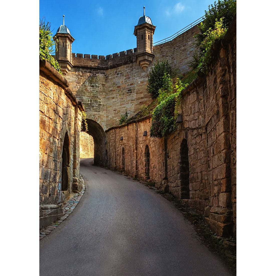 Ancient Colonnade Photography Backgrounds Arch Hall Column Portrait ...