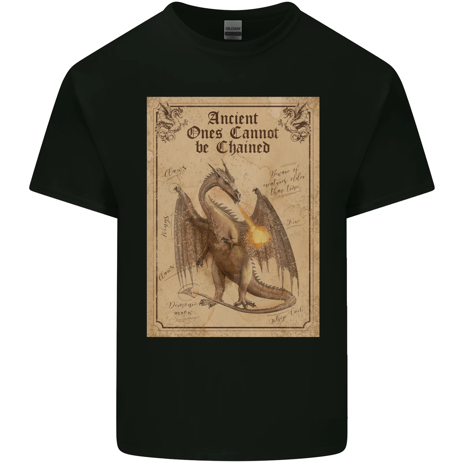 Ancient Dragons Cannot be Chained RPG with a Funny Dungeons and Unisex T-Shirt, up to size 5XL ...